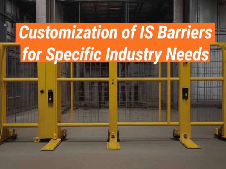 Overcoming IS Barriers: Customization Meeting Industry Needs ...