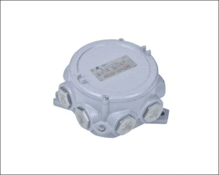 Intrinsically Safe Warom Explosion-proof Junction Boxes BHD91 ...